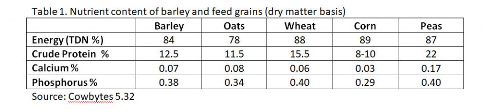 Feeding Barley Grain to Beef Cattle – The Barley Bin