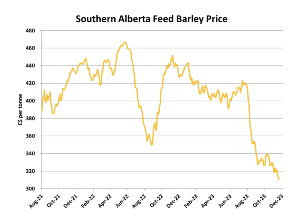 Barley Market Report: Weak Export Demand and Quiet Domestic Market a ...