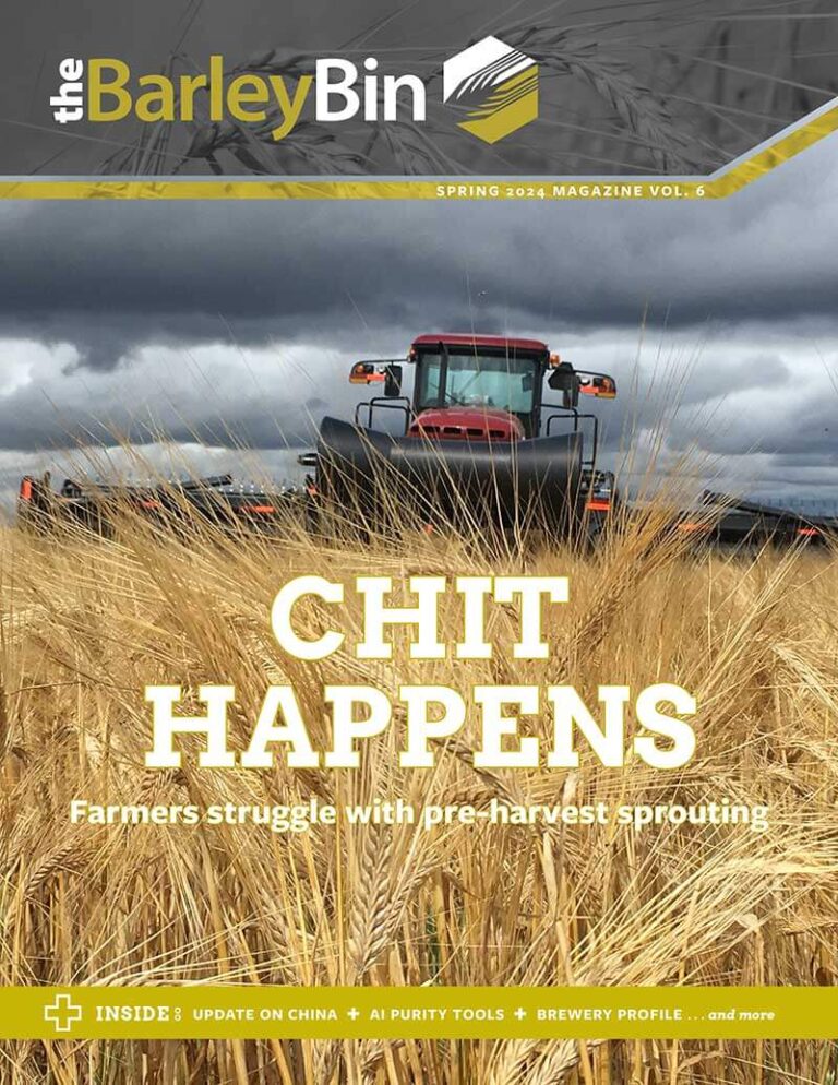 Pre-Harvest Sprouting in Malting Barley Explained - The Barley Bin