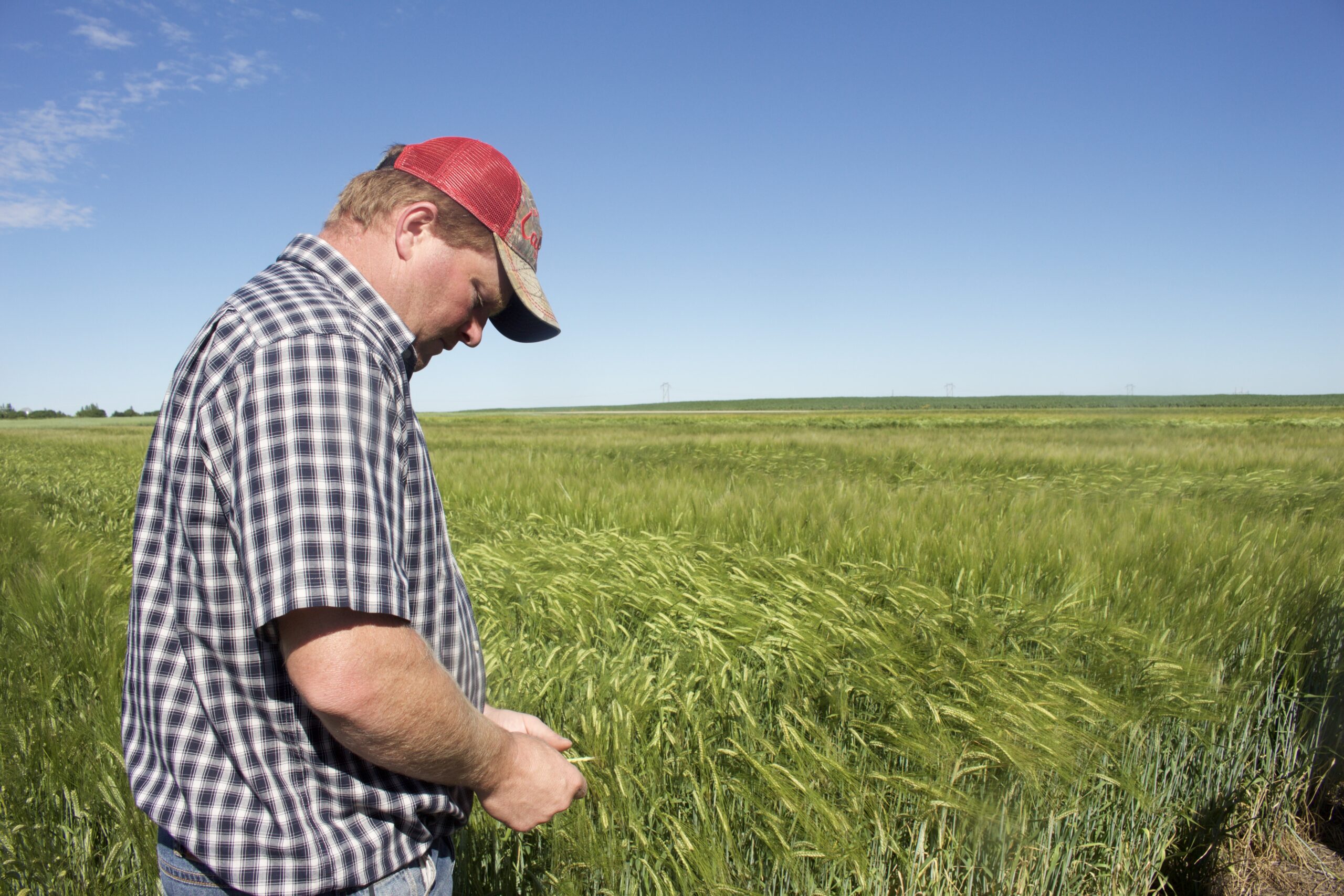 In Memory of Brent Johnson (1977-2024), Strasbourg, SK - The Barley Bin