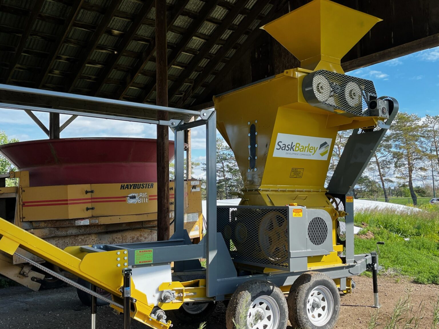 Maximizing Cattle Performance with Barley Feed - The Barley Bin