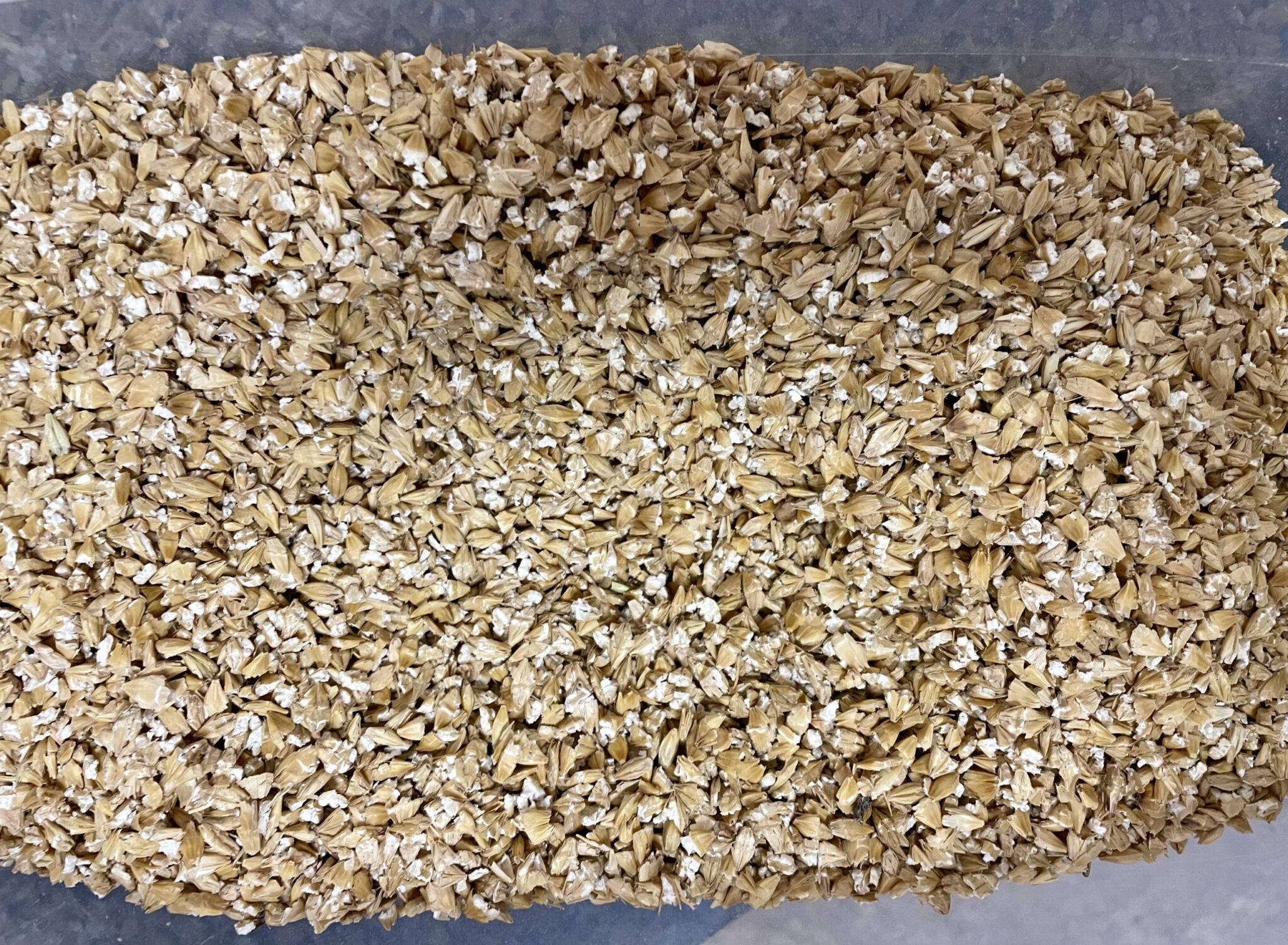 Maximizing Cattle Performance with Barley Feed - The Barley Bin